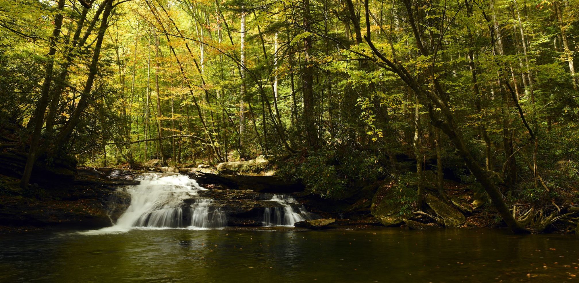 Kumbrabow State Forest - Elkins-Randolph County Tourism