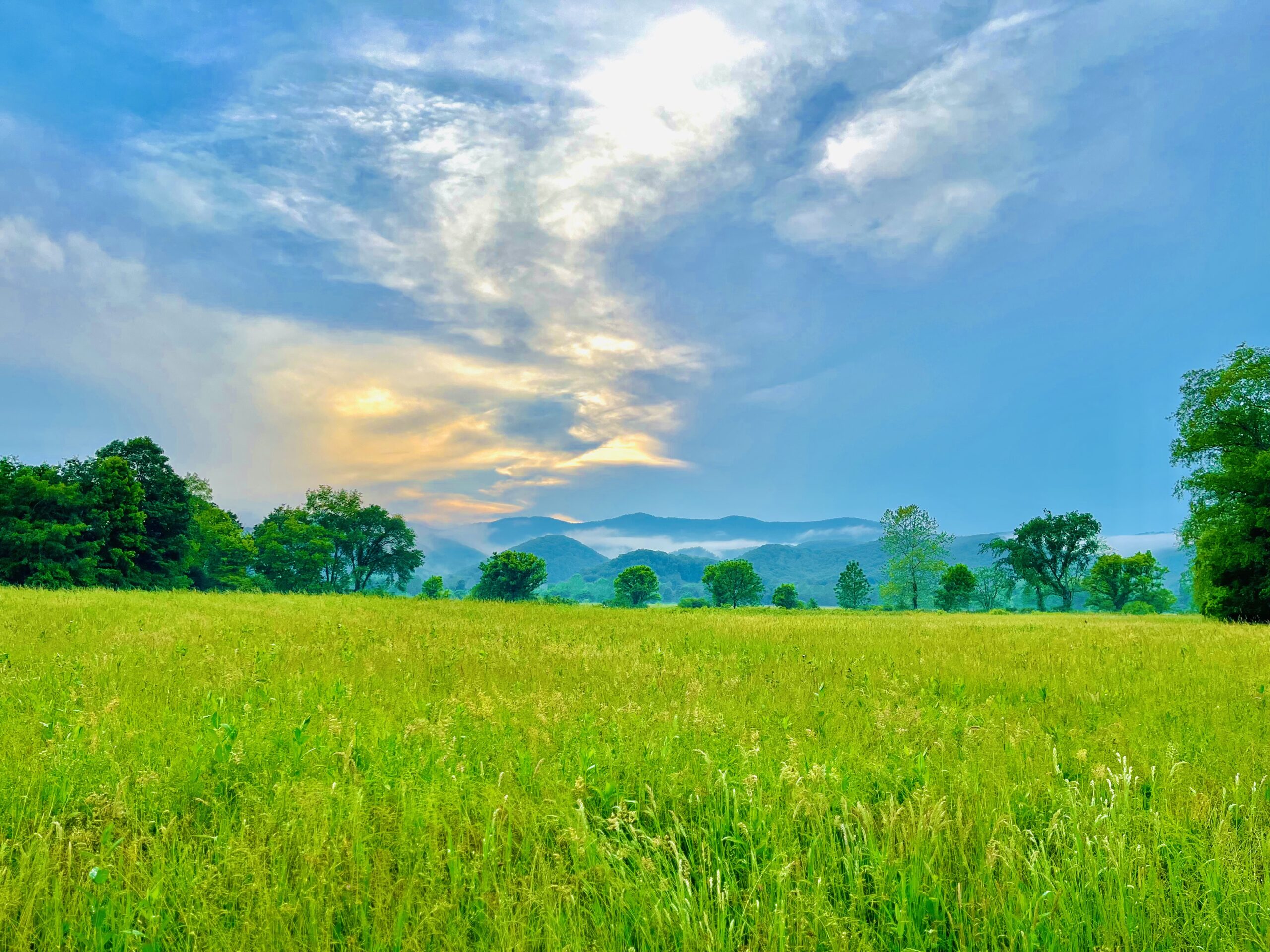 SAYLWINDS - Elkins-Randolph County Tourism