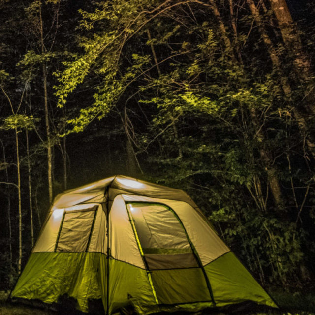 Spruce Knob Lake - Elkins-Randolph County Tourism