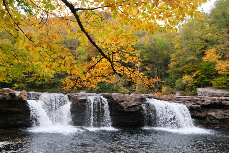 Discover the Waterfalls of Elkins-Randolph County, West Virginia ...