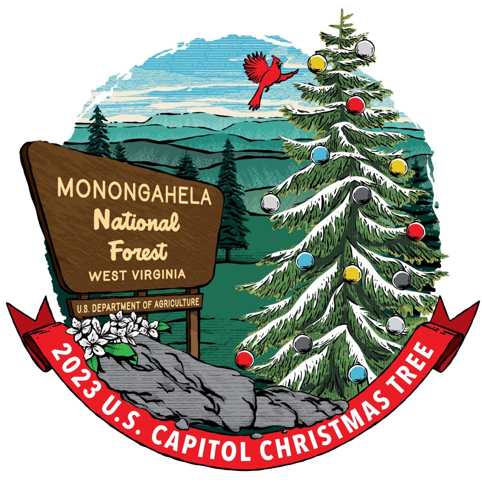 The U.S. Capitol Christmas Tree Comes to Elkins – 4 Reasons to Join in ...