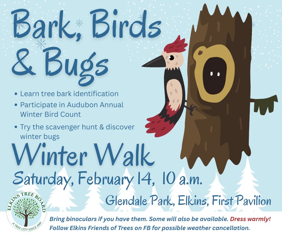 “Bark, Birds & Bugs” Winter Walk | Glendale Park - Elkins-Randolph ...